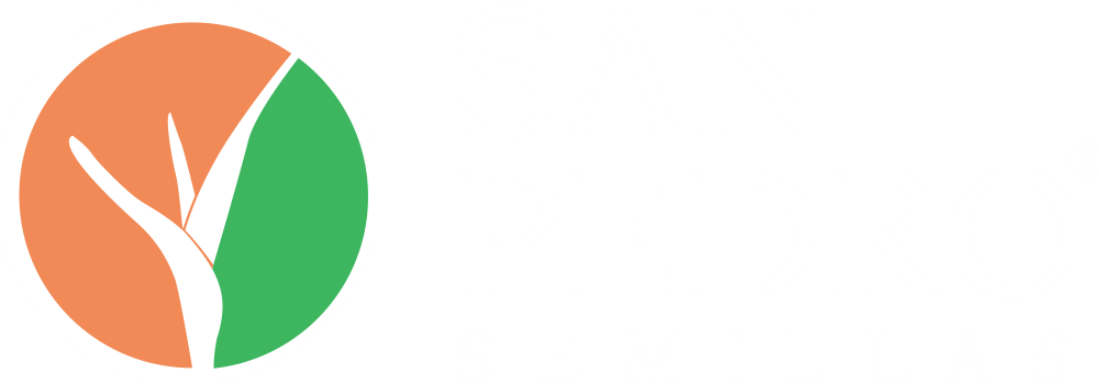 logo | Procampo Uruguay